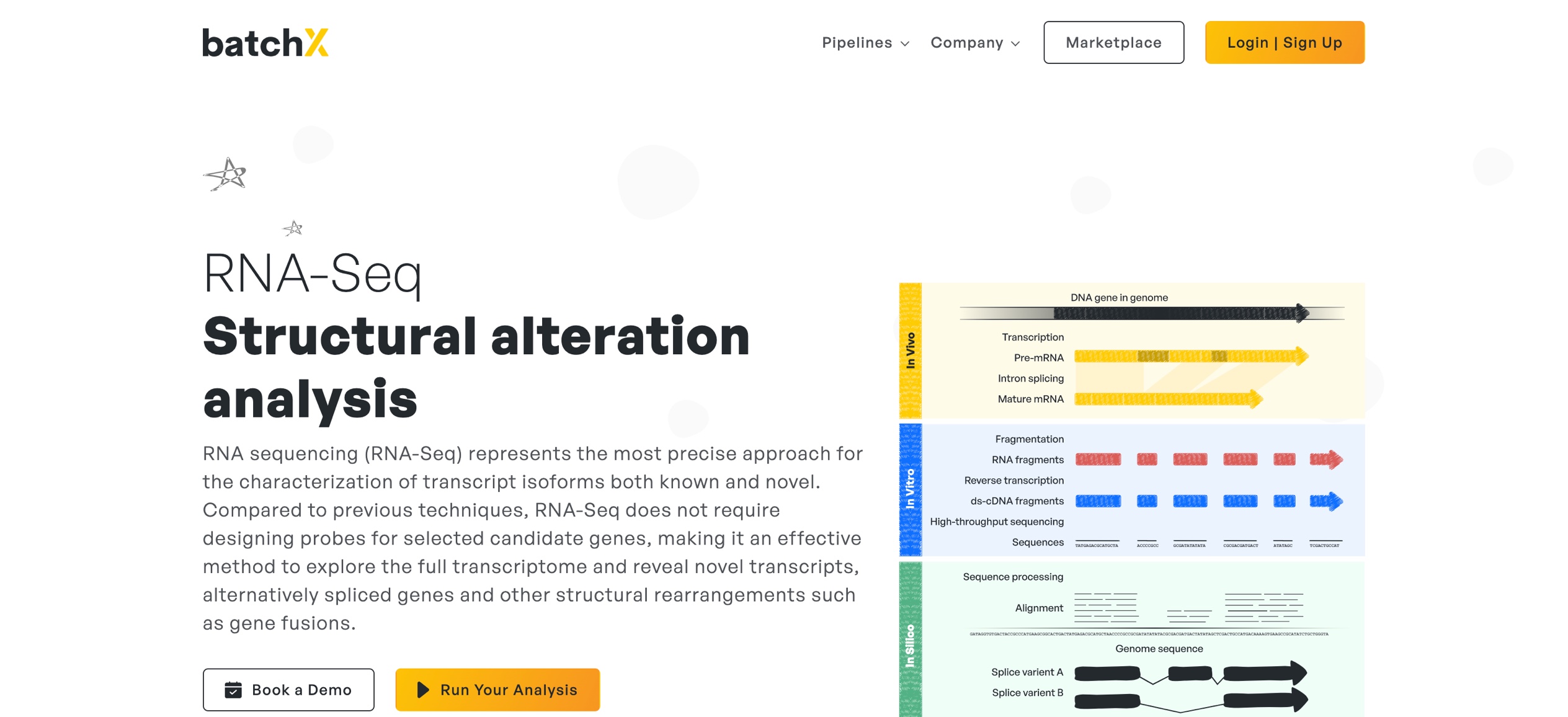 RNA-Seq Structural alteration analysis | BatchX - Supercharge your research with our end-to-end ...