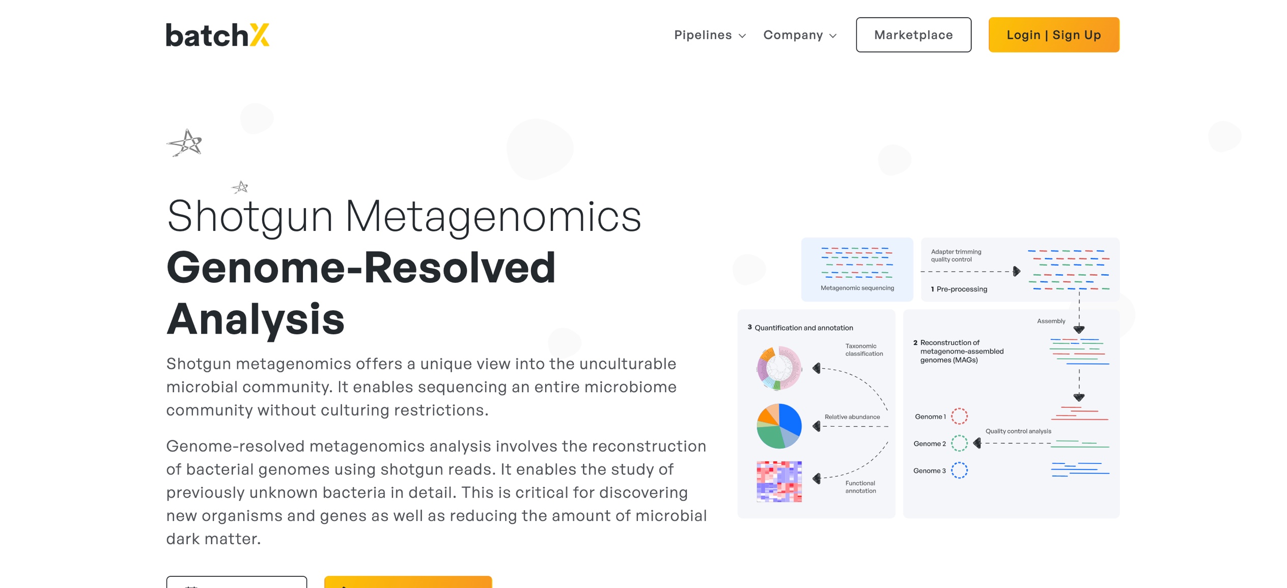 Shotgun Metagenomics - Genome-Resolved Analysis