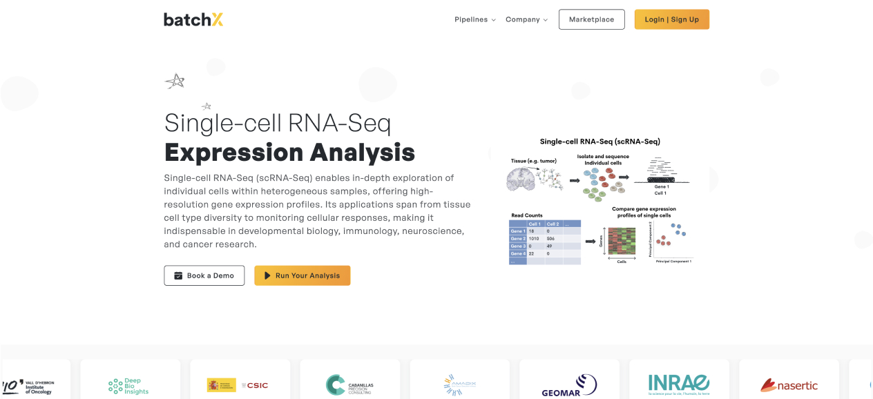 Single-cell RNA-Seq Expression Analysis | BatchX - Supercharge your research with our end-to-end ...